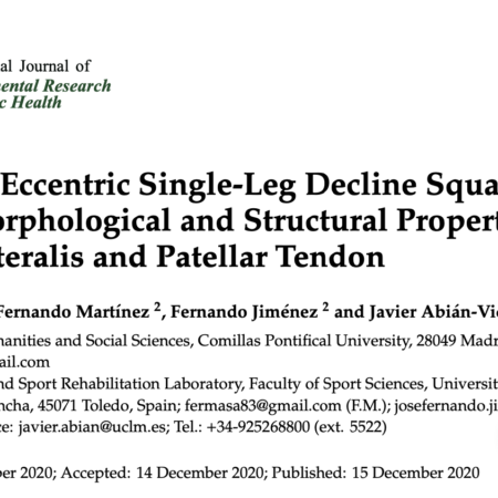 Effects of Eccentric Single-Leg Decline Squat Exercise on the ...